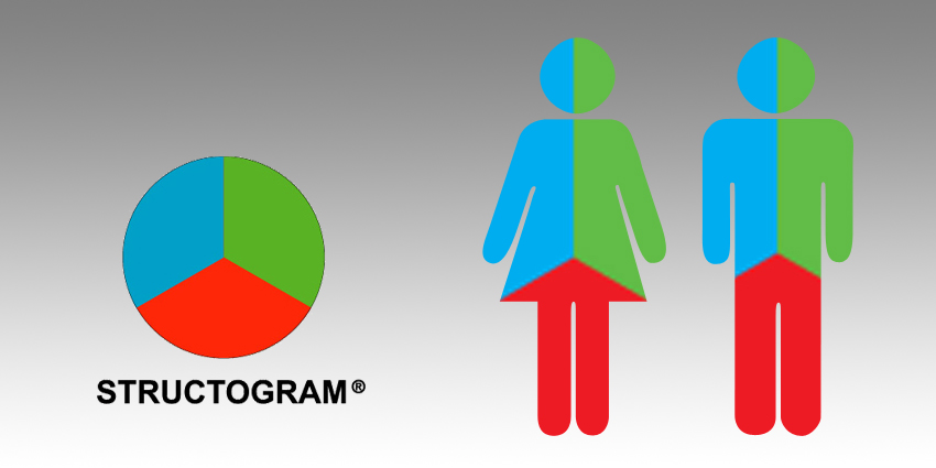 Structogram®-Institut-für-angewandte-Anthropologie – Anthroprofil